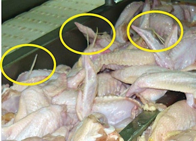 how to make chicken drumsticks not bleed