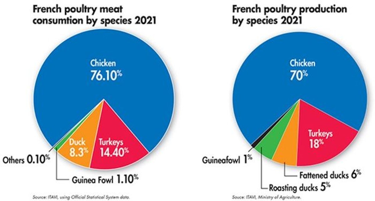 meat consumption pie chart
