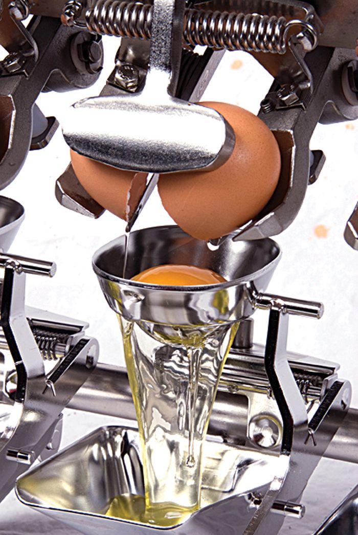 Liquid egg processing procedures, key to egg market | WATTAgNet ...