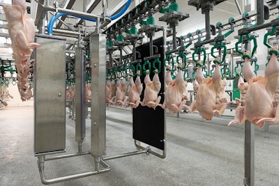 poultry processing equipment uk