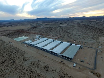 Rose Acre’s different way of rearing cage-free pullets | WATTPoultry.com