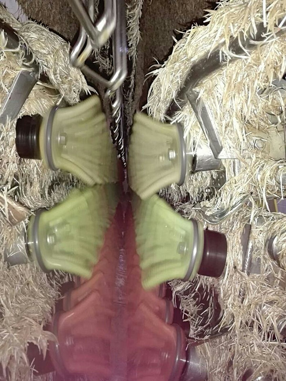 how do rubber chickens work