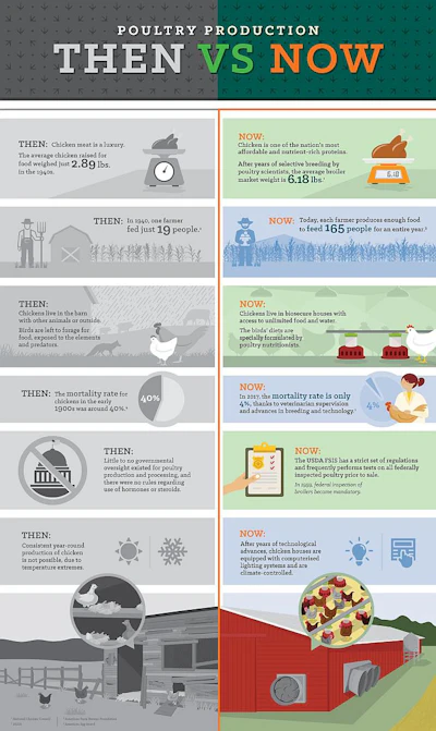 Then vs. now: Sanderson Farms shines light on how technology is ...