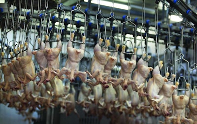 Key focus areas for poultry processing | WATTPoultry.com
