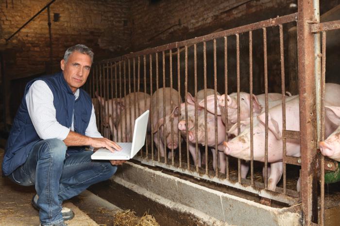 4 feed formulation software trends shaping animal nutrition | WATTAgNet ...