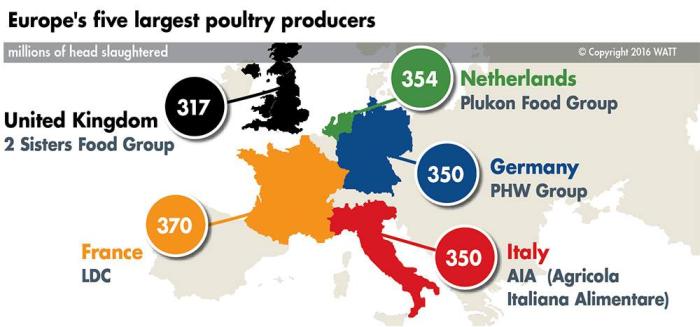 The 5 largest poultry, egg producers in Europe | WATTAgNet ...