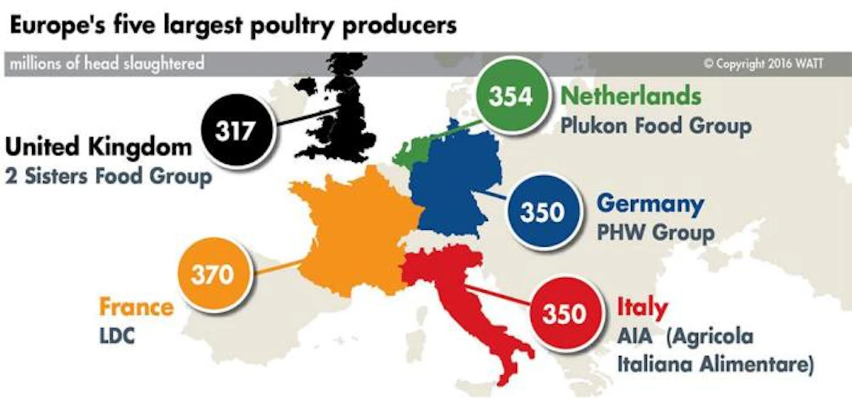 The 5 largest poultry, egg producers in Europe | WATTAgNet ...