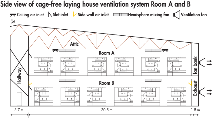 Ventilating the world’s largest cage-free layer house | WATTAgNet ...