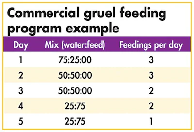 10 practical piglet gruel feeding guidelines | WATTAgNet | WATTPoultry.com