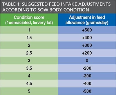 Feeding guide for gestating sows | WATTPoultry.com