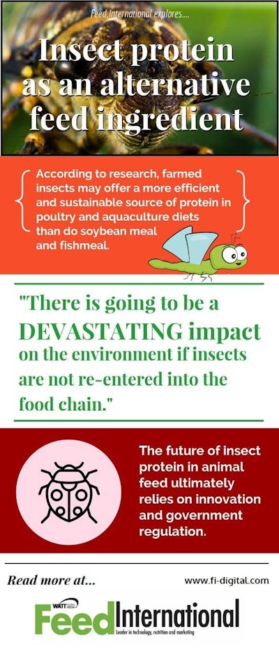 Infographic: Insect protein as an alternative feed ingredient ...