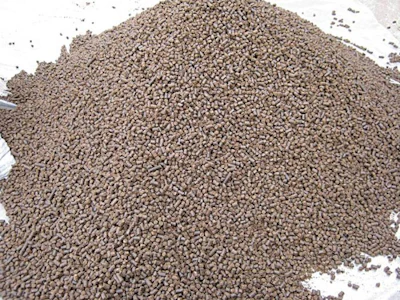 Palm kernel cake raises cattle prospects in West Africa | WATTAgNet ...