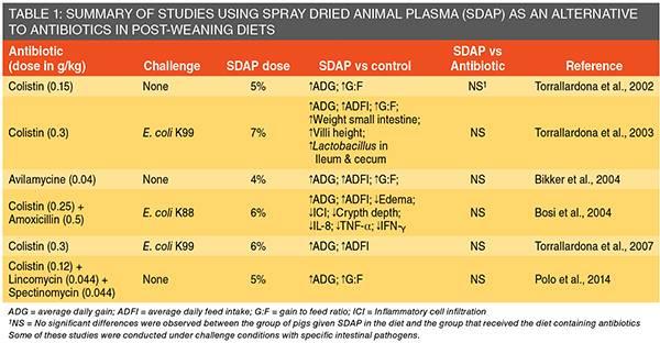Plasma as alternative to antibiotics in piglet diets | WATTPoultry.com
