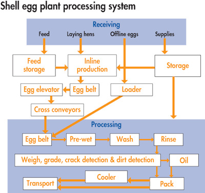 haccp flow chart example