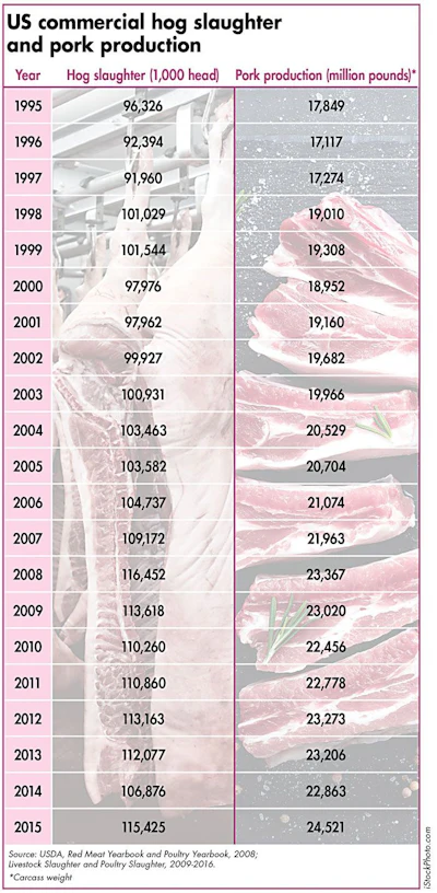Growing pork demand, efficiency gains fuel pig production | WATTAgNet ...