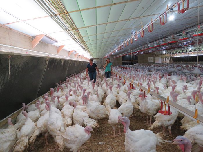 Virginia Poultry Growers Co-op depends on growers for its future ...