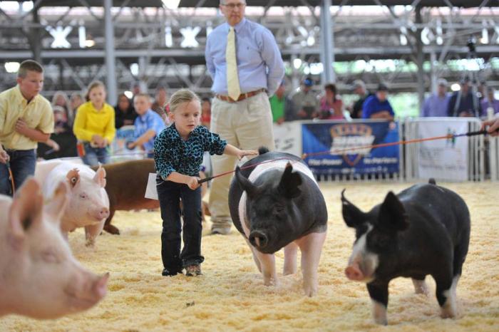 Get ready for the 2016 World Pork Expo | WATTAgNet | WATTPoultry.com