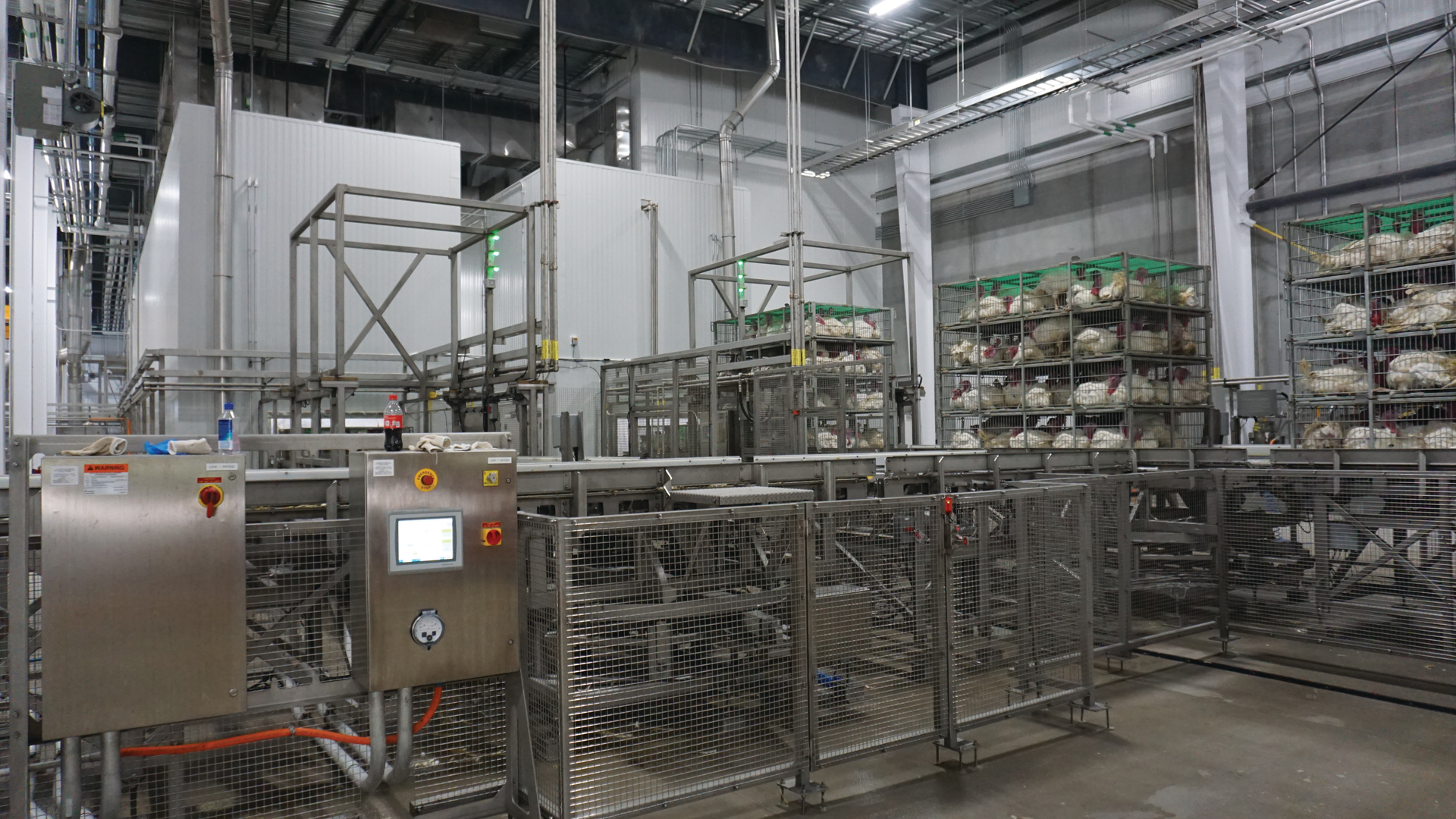 New Prestage Farms plant designed to save labor | WATTPoultry.com