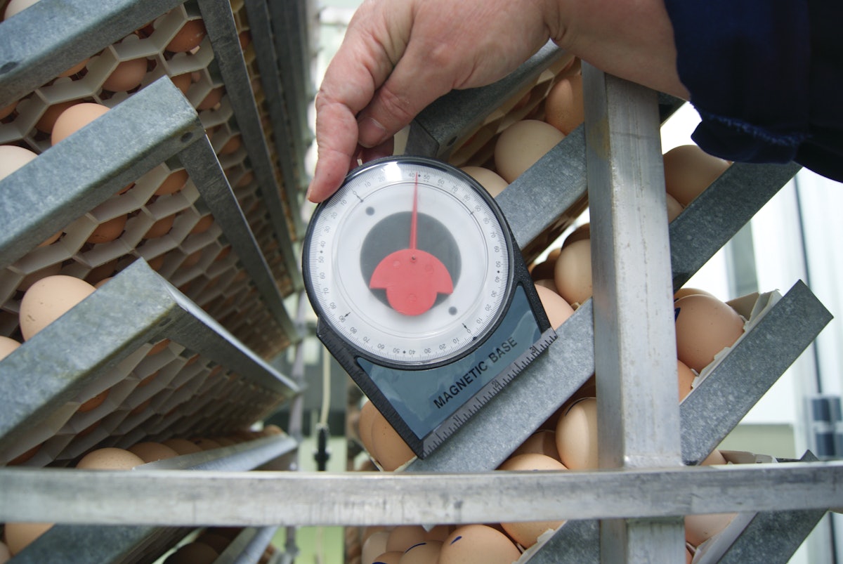 Optimizing egg incubation conditions in setters | WATTPoultry.com