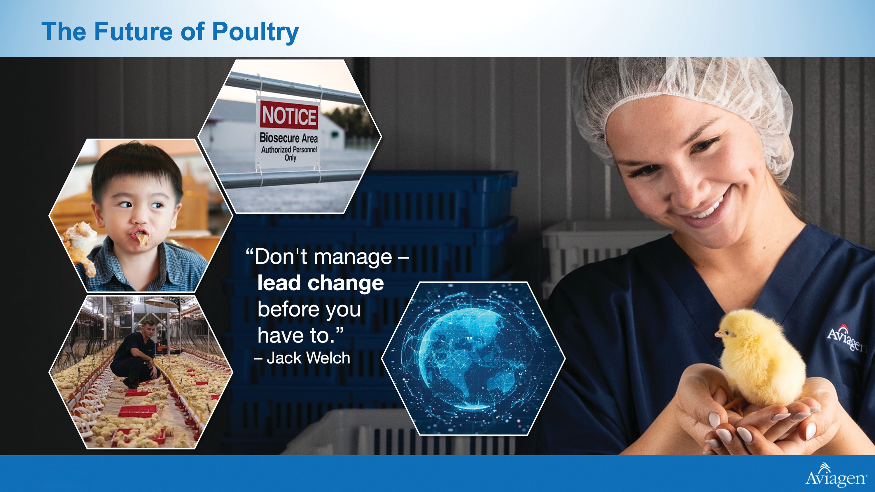 Navigating poultry's current challenges and opportunities | WATTPoultry.com