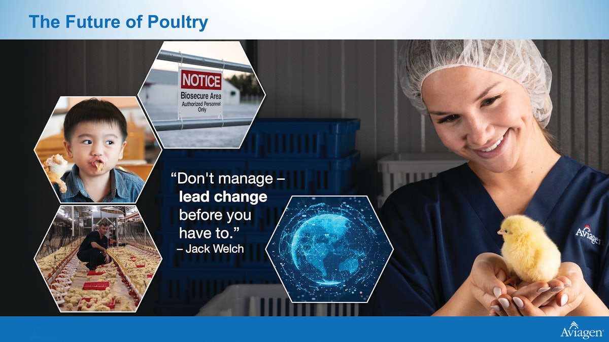 Navigating poultry's current challenges and opportunities | WATTPoultry.com