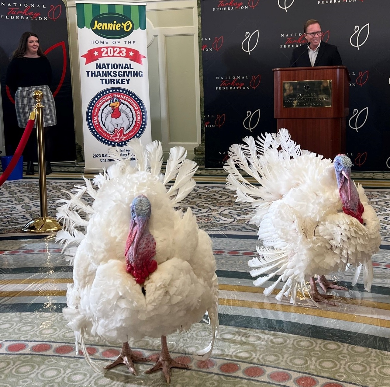 Presidential turkeys take long path to DC, college | WATTPoultry.com