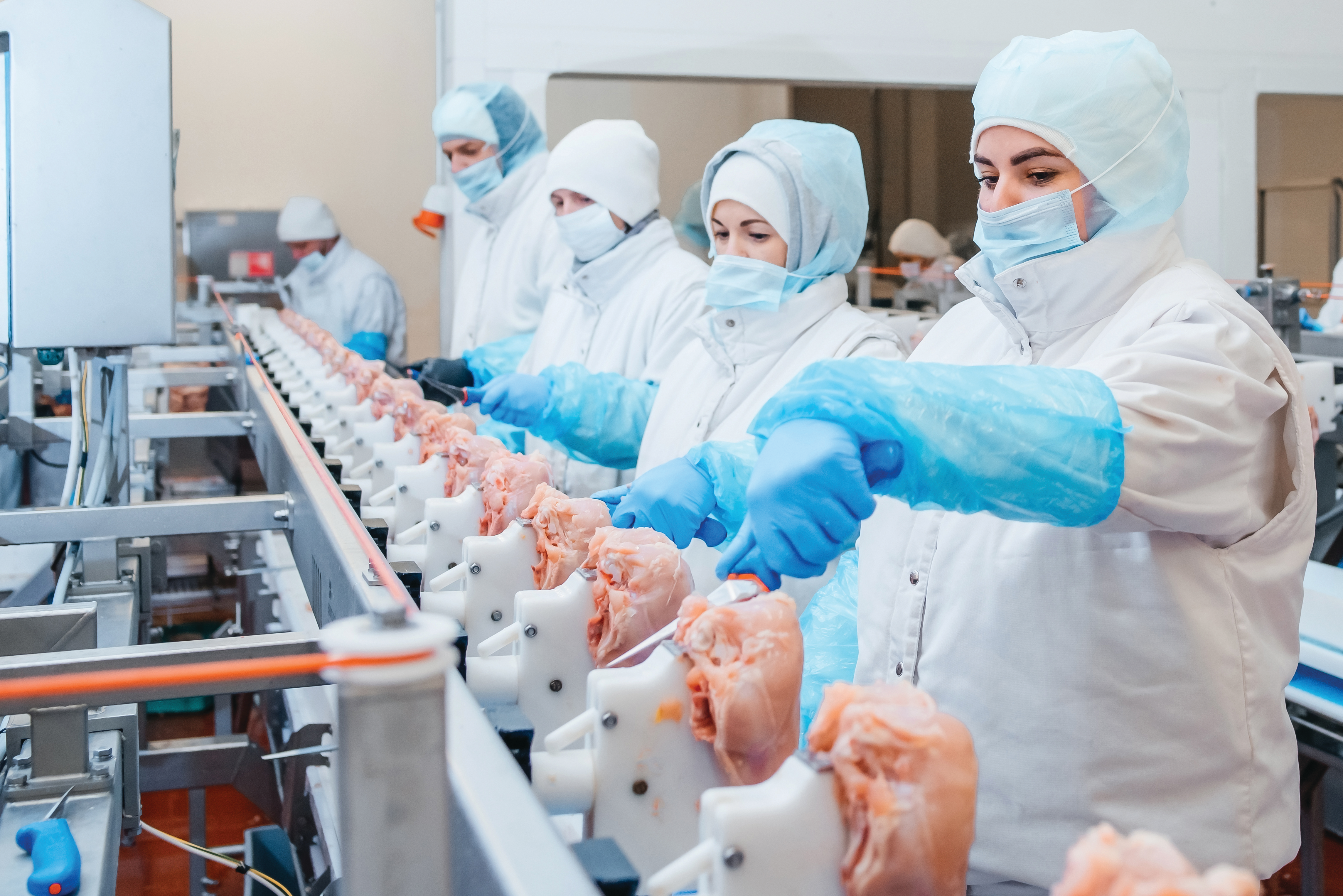 How poultry processing can impact breast meat quality | WATTPoultry.com