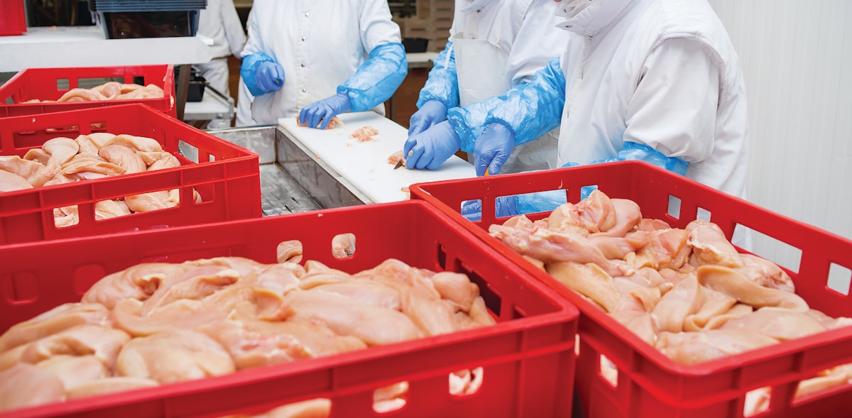 Poultry processing’s labor-intensive areas need automation ...
