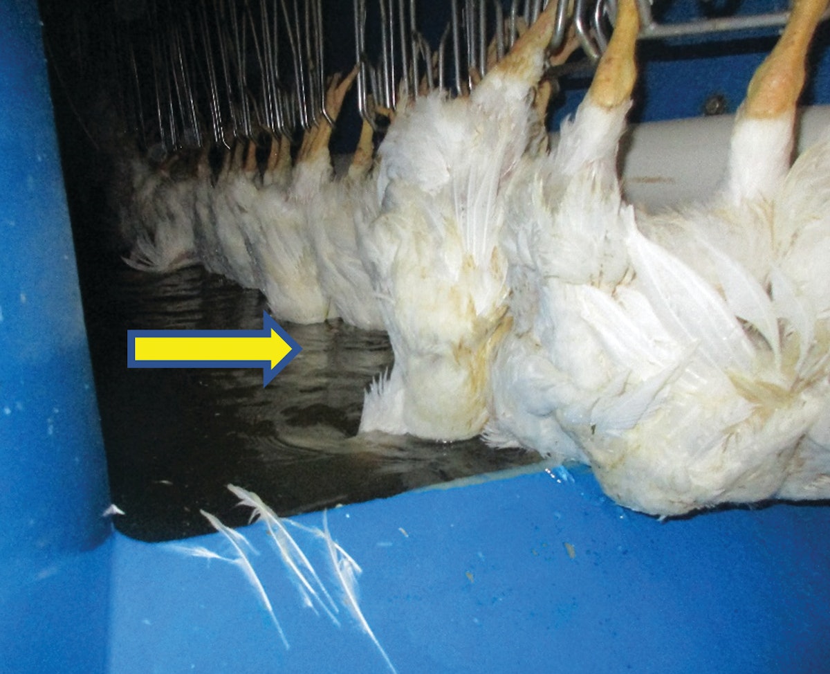 How digital monitoring can enhance poultry processing | WATTPoultry.com