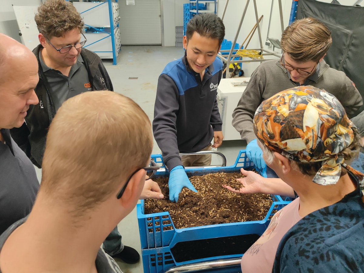 9 key considerations when raising insects for feed | WATTPoultry.com