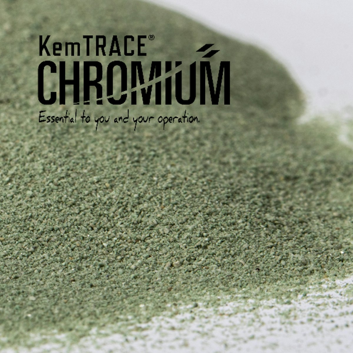 Kemin Animal Nutrition and Health KemTRACE Chromium From: Kemin Industries | WATTPoultry.com