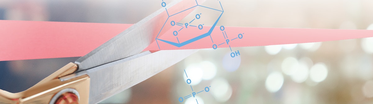 Nutrex Nutrase P From: Nutrex NV | WATTPoultry.com