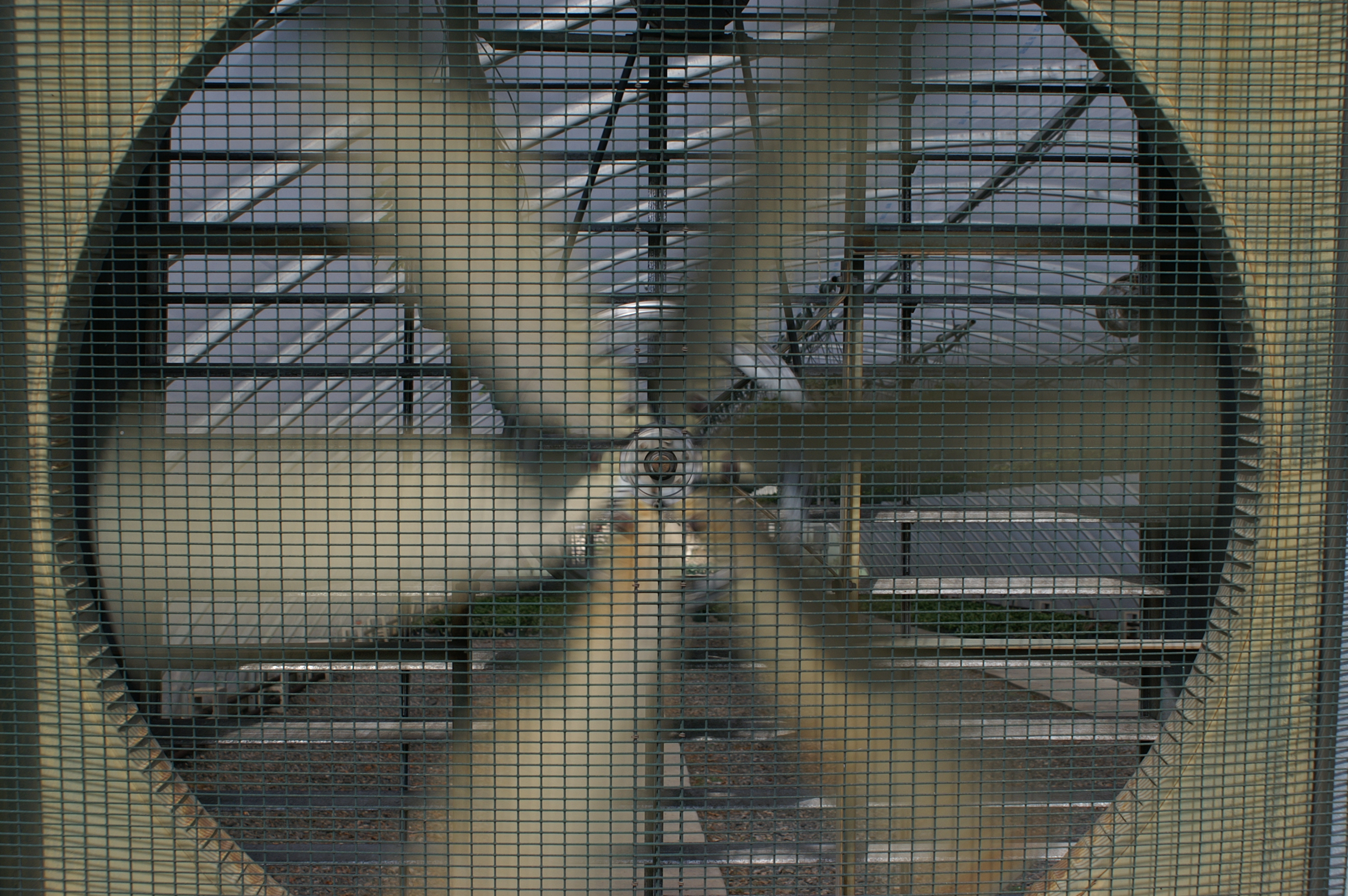 Industrial fans a possible factor in human H5N1 cases | WATTPoultry.com