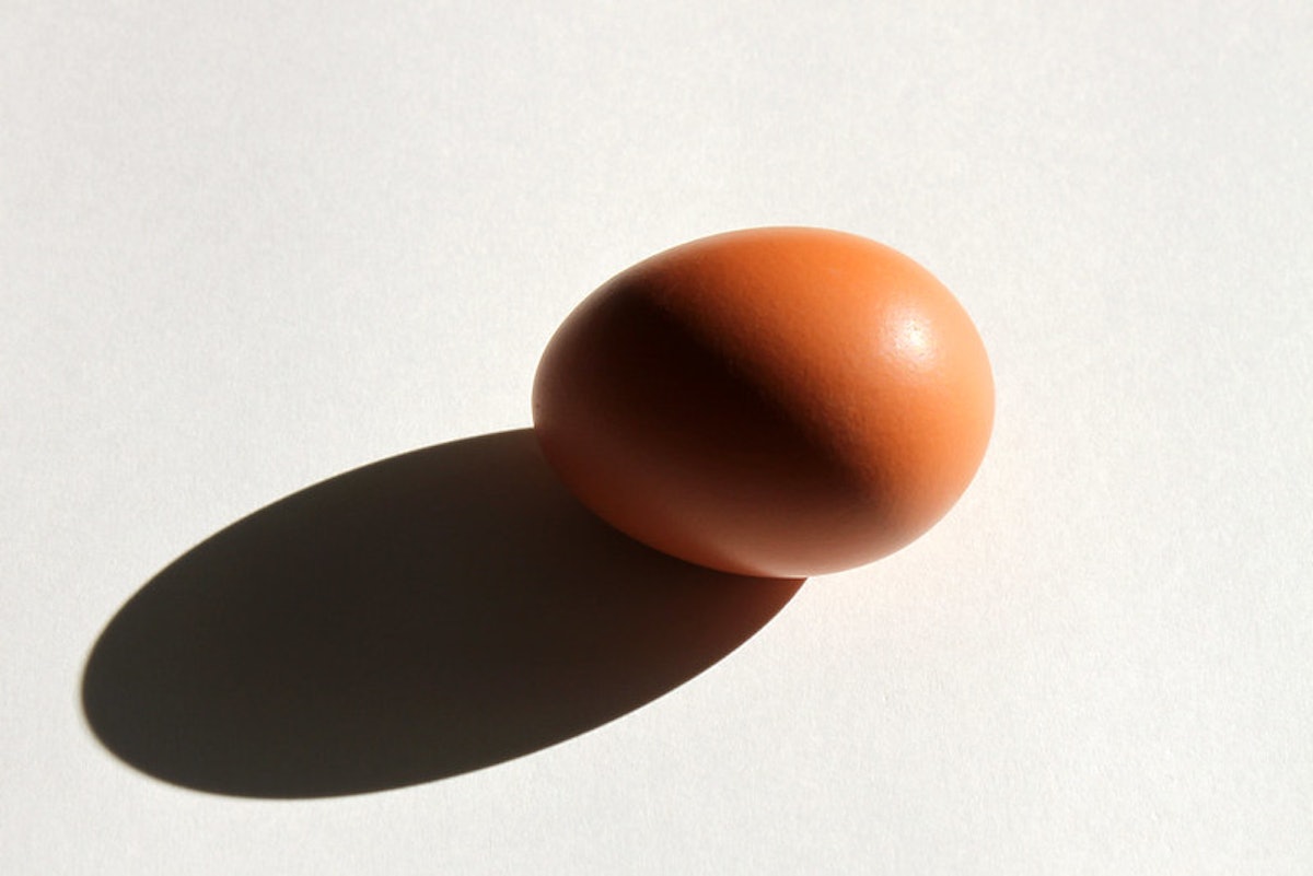 Molded fiber egg carton company Hartmann to up production | WATTPoultry.com