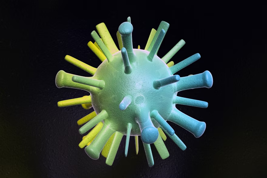 CDC: Human with avian influenza had no contact with animals ...