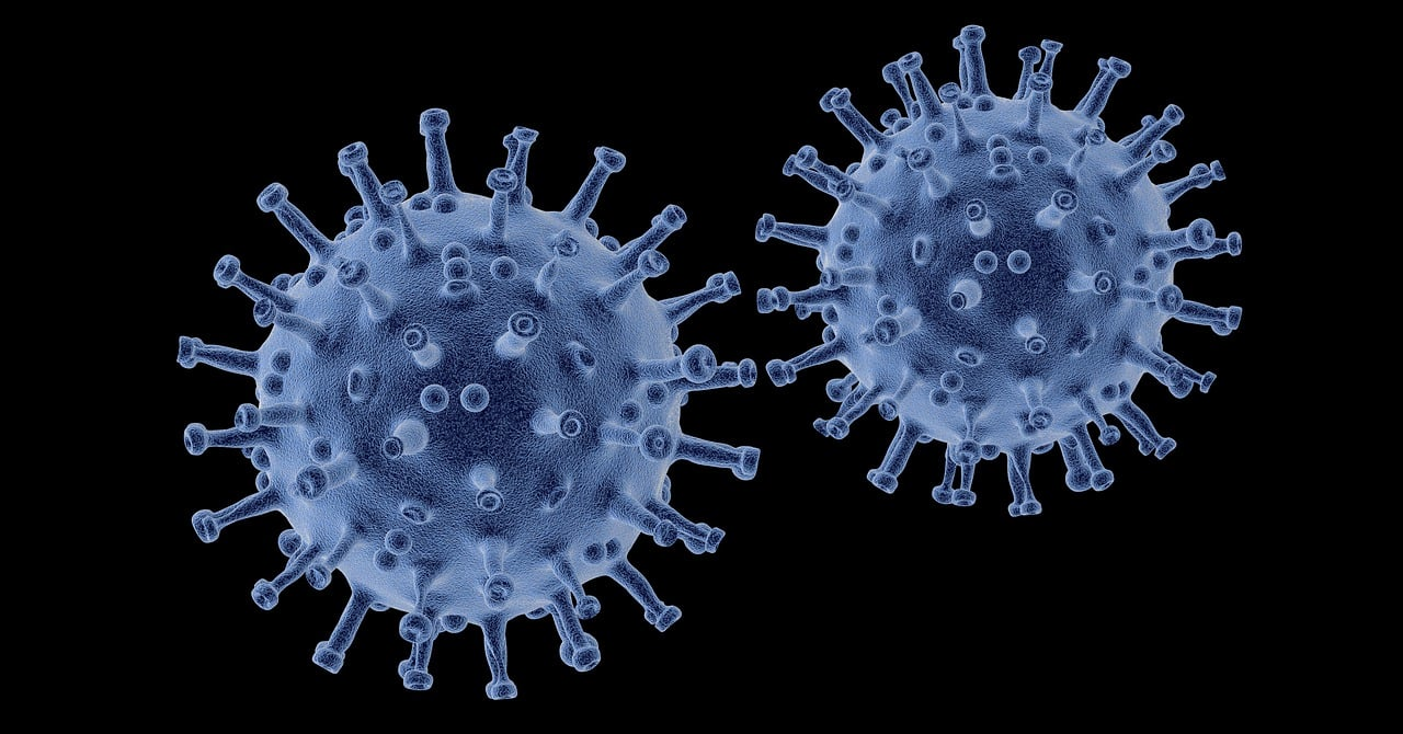 H5N5 remains a concern in eastern Canada | WATTPoultry.com