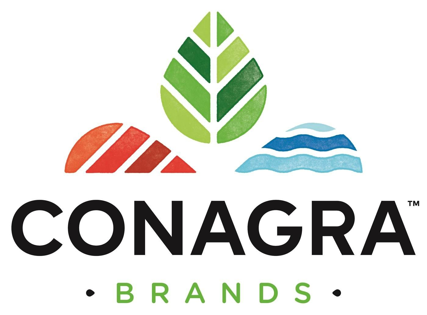 Conagra Brands introduces FATTY chicken sticks | WATTPoultry.com
