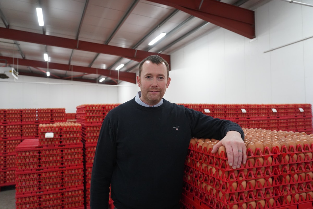 UK egg producer Farmlay invests in new grading capacity | WATTPoultry.com