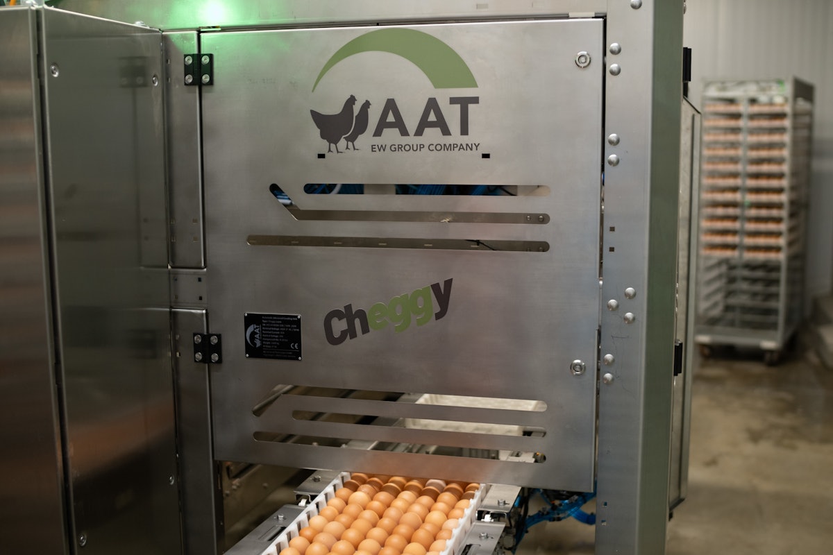 First in-ovo sexing machine in US installed in Iowa hatchery ...