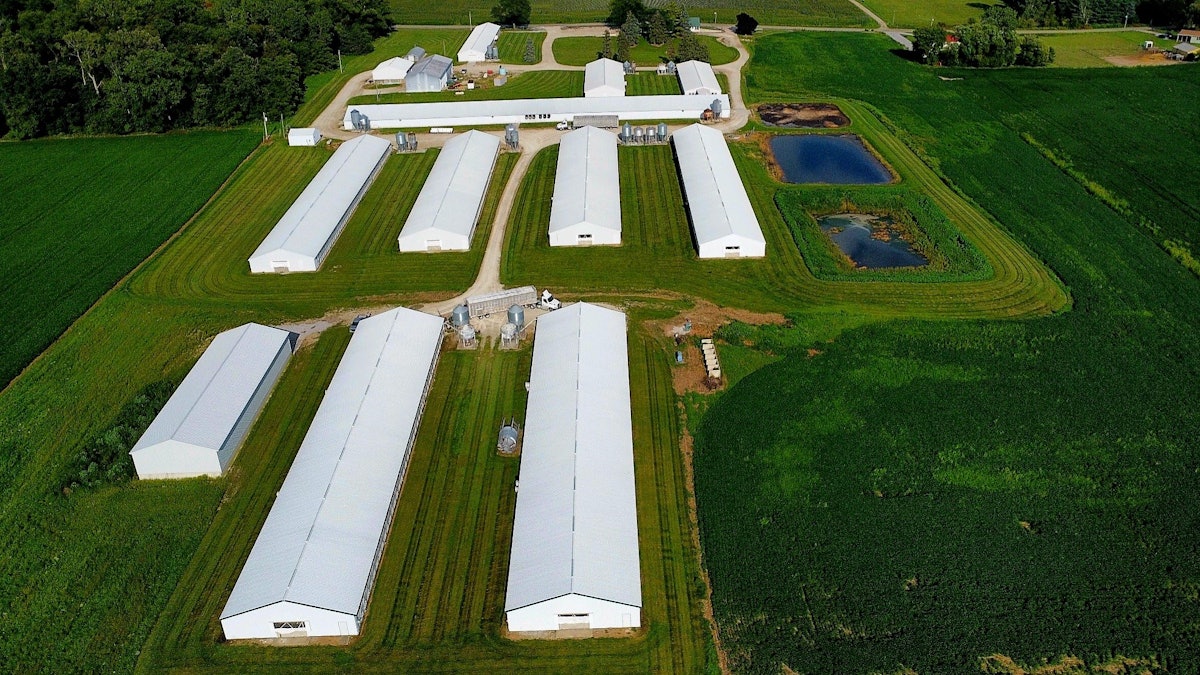 Robinson Farms and the future of American duck farming | WATTPoultry.com