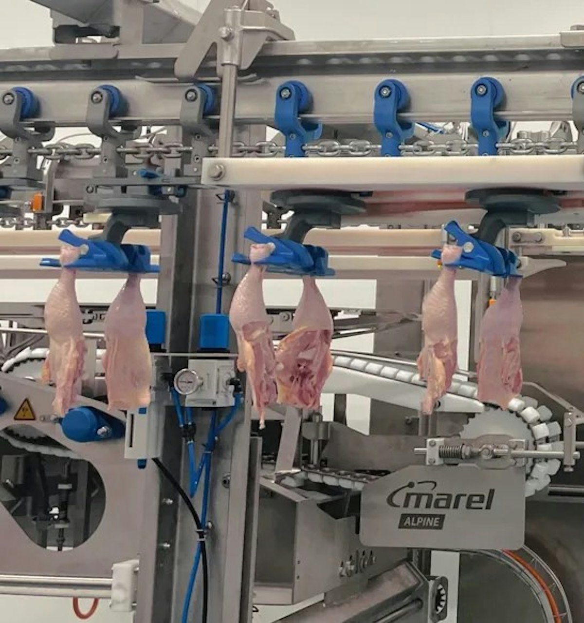 Marel to showcase processing innovations at IPPE 2025 | WATTPoultry.com