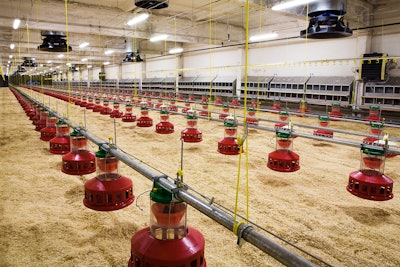 Managing moisture in poultry litter prevents Salmonella | WATTPoultry.com