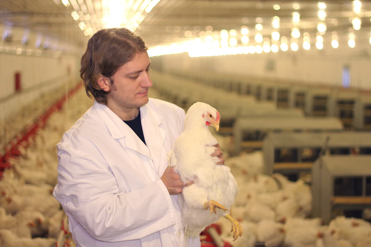 Combination of interventions needed for Salmonella control ...