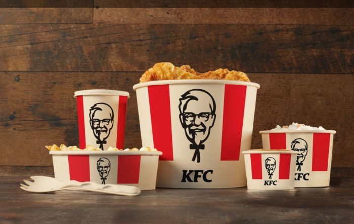 KFC to expand in Brazil after new joint venture | WATTPoultry.com