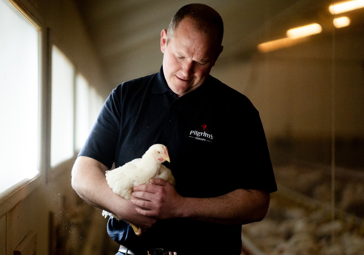 Waitrose: first British retailer meets highest chicken welfare standard ...
