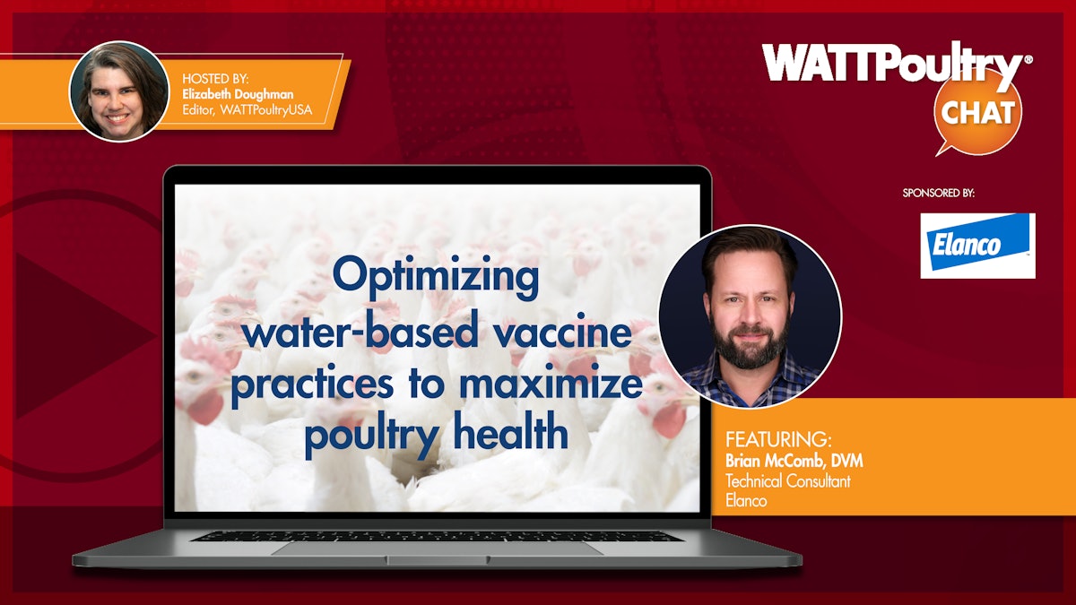 Maximize Poultry Health with Water-Based Vaccine Strategies ...