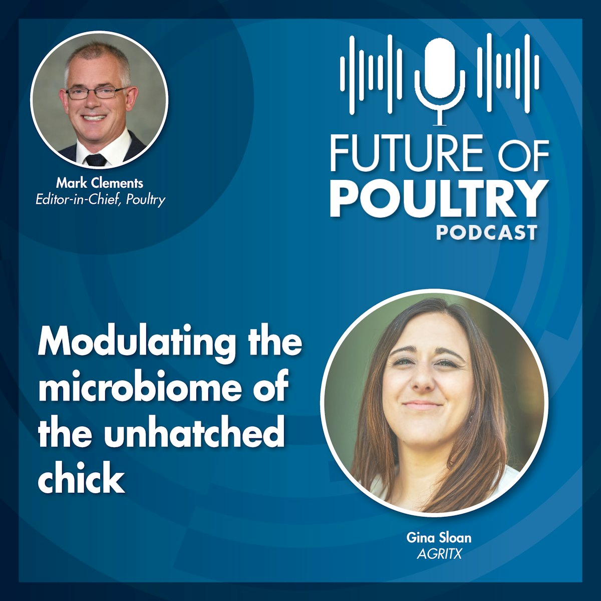 Microbiome Breakthrough: Transforming Poultry Egg Health | WATTPoultry.com