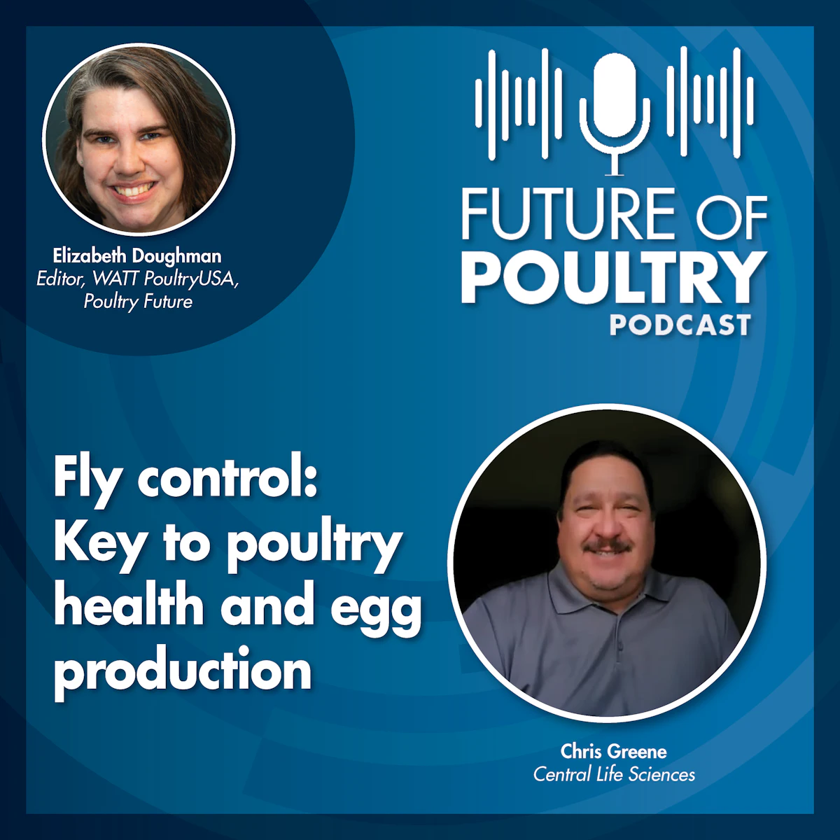 Fly Control: Boost Poultry Health & Egg Production | WATTPoultry.com