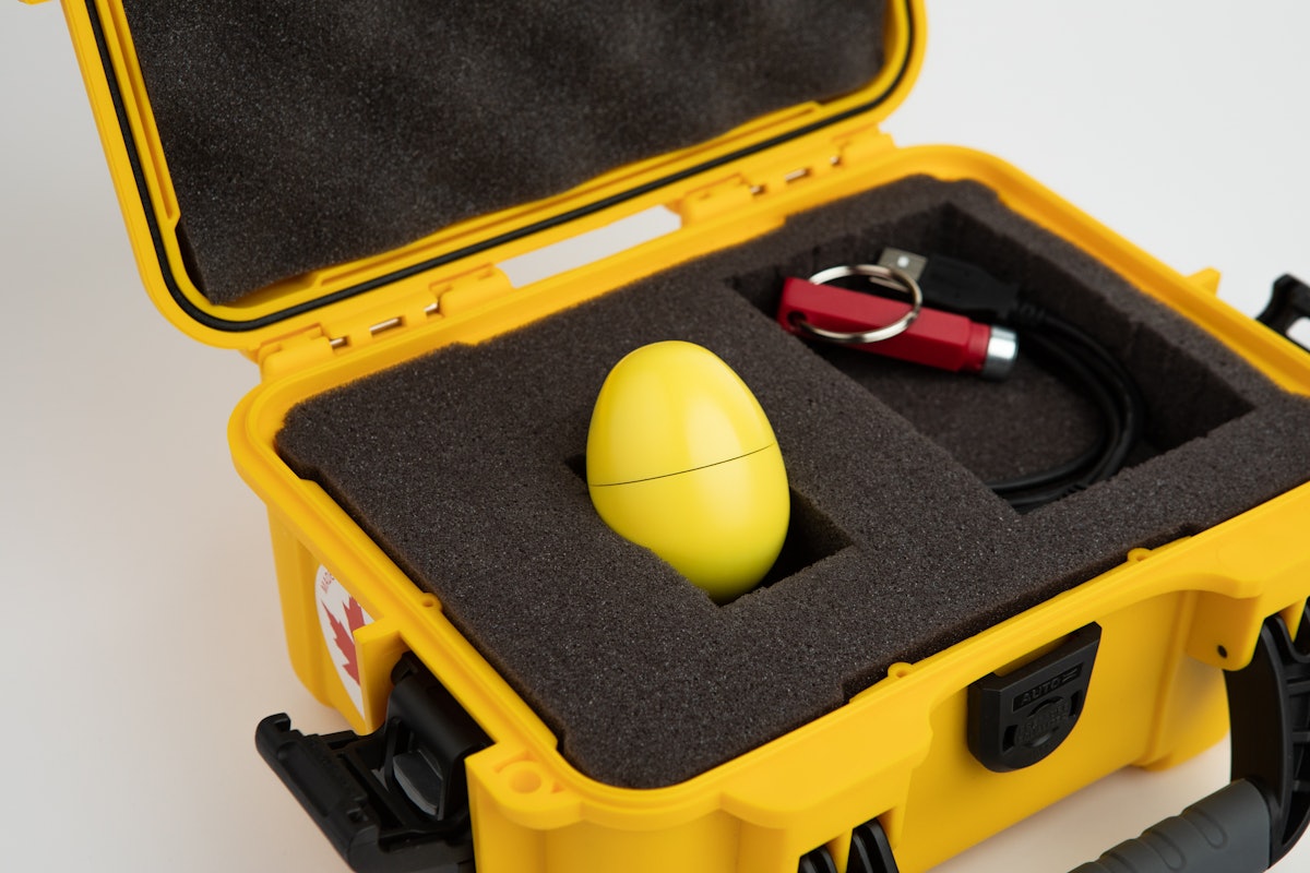 Sensor technology may reduce egg breakage in processing | WATTPoultry.com