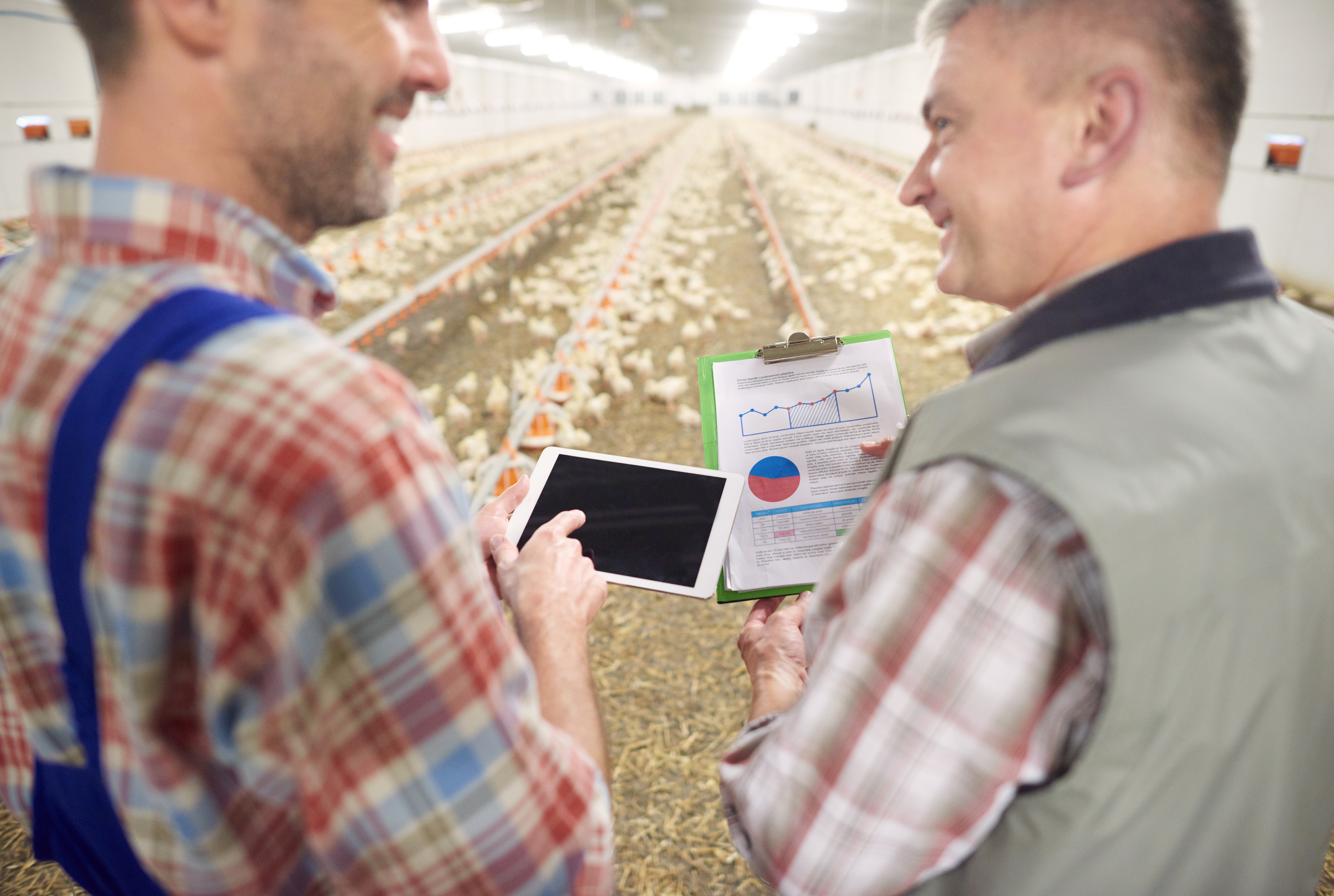Boost Poultry Worker Retention with Bilingual Training | WATTPoultry.com